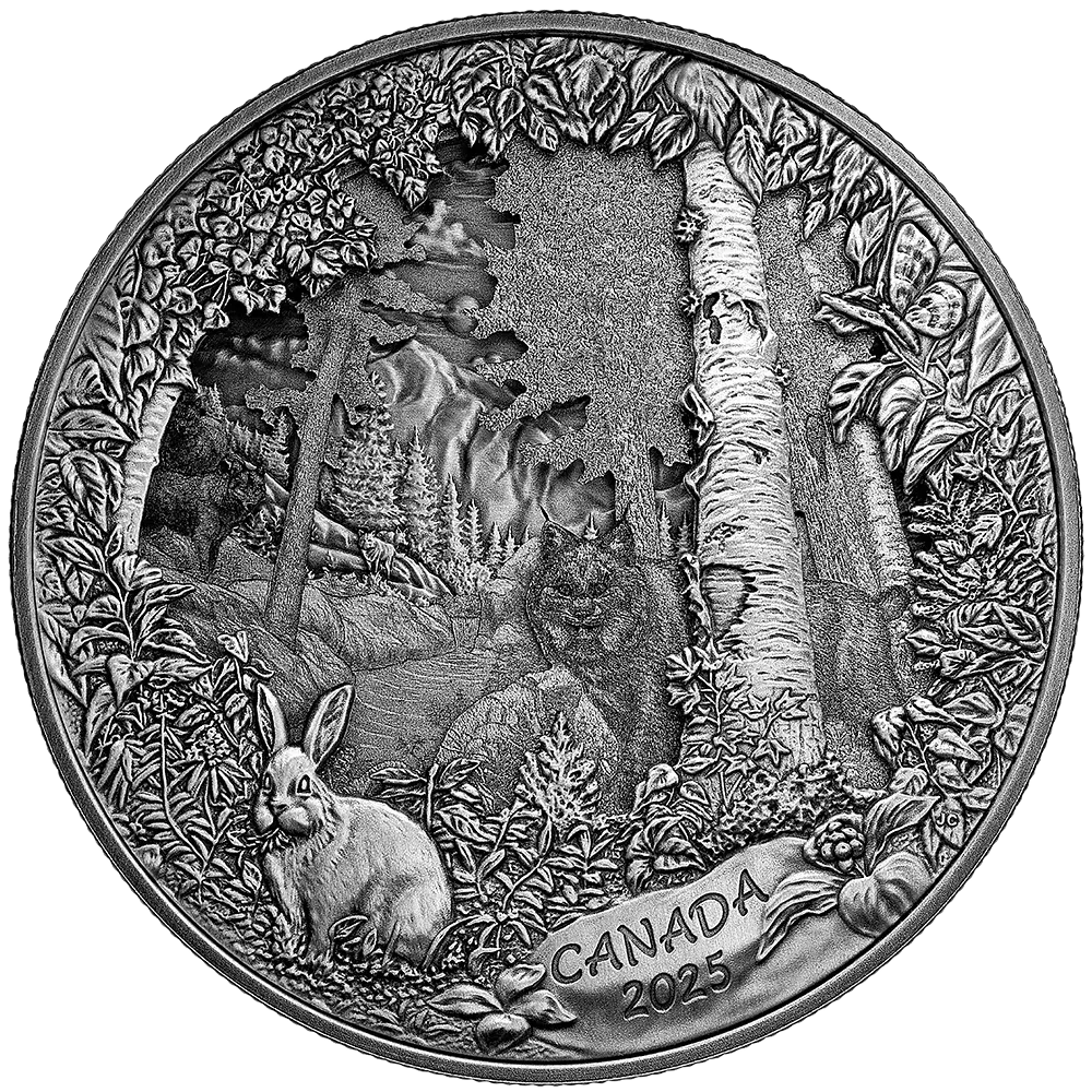 2025 Canada .9999 Silver $175 Predator or Prey in Shadow Box - Royal ...