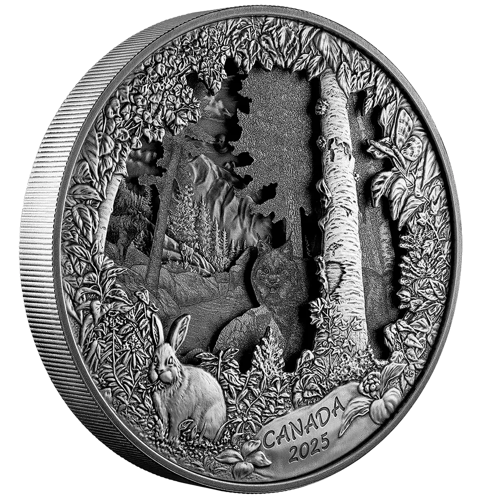 2025 Canada .9999 Silver $175 Predator or Prey in Shadow Box - Royal Canadian Mint - MyGold